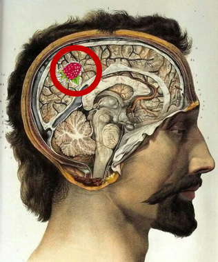 The Baca Family Historical Project – Bringing families together through ...