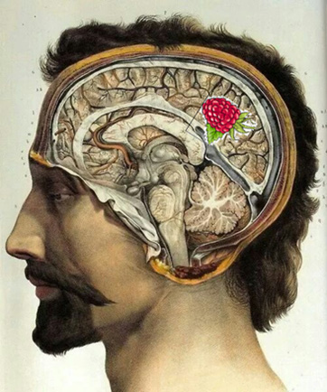 *2018 Update for The Common Hispanic Mutation – The Baca Family ...